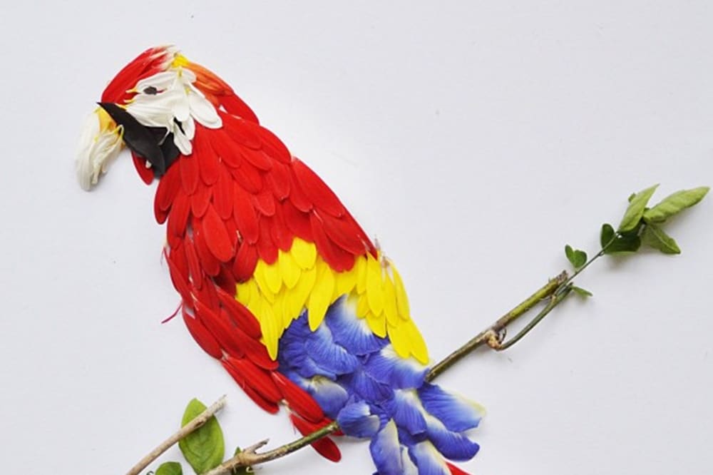 Flower Birds | AnOther