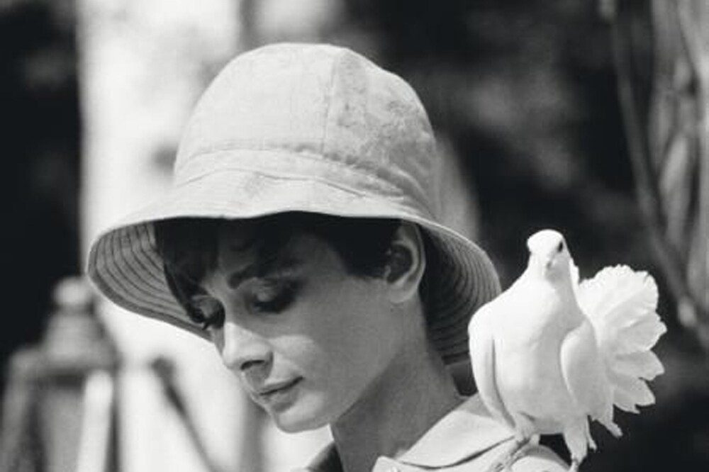 International Day of Peace | AnOther