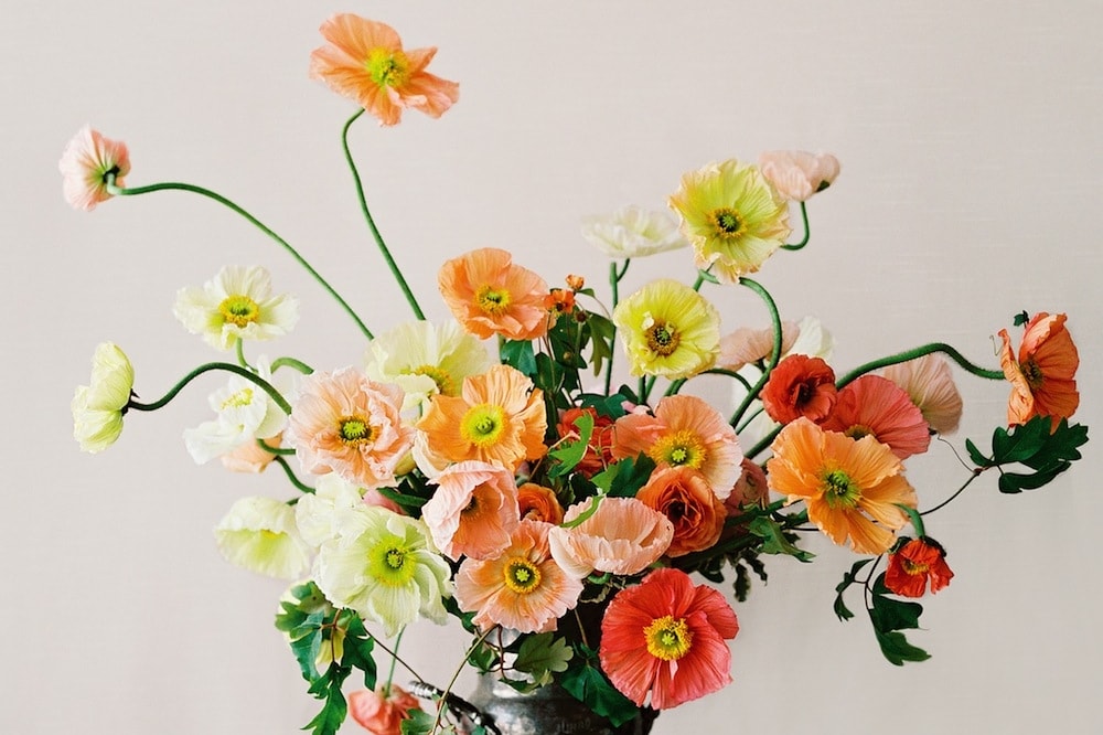 The Renaissance of Flower Design | AnOther