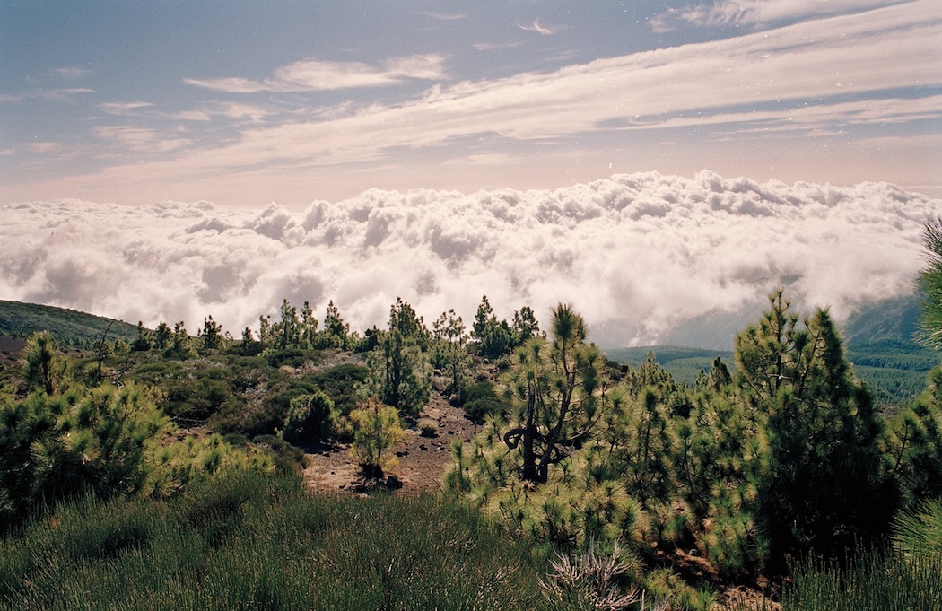 Intervening in the Everyday with Artist Peter Regli | AnOther