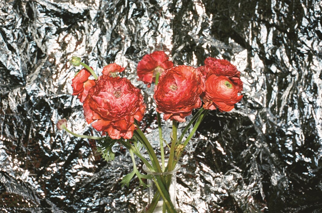 Chanel's Favourite Shades of Red | AnOther