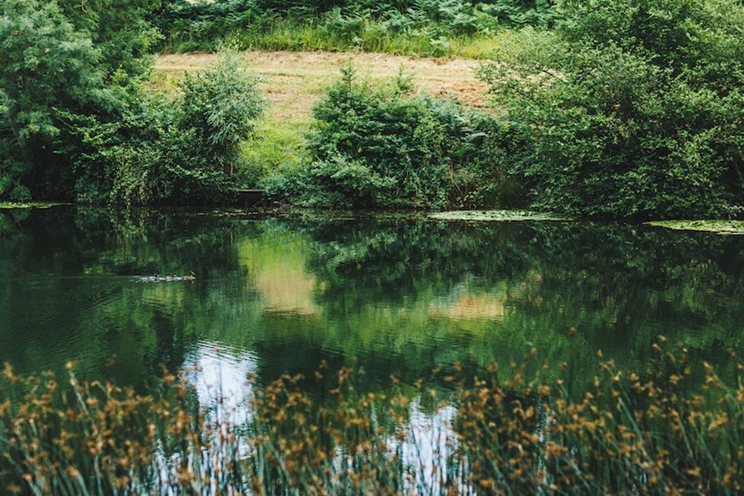 Brilliant Things To Do in August | AnOther