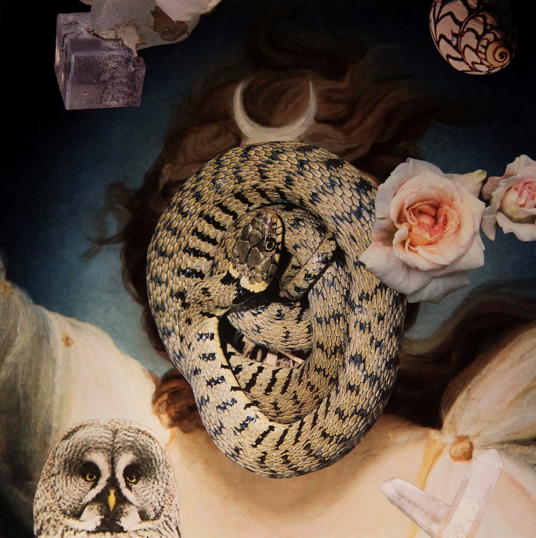 Inside the Mind of Linder, an Icon of Contemporary Collage | AnOther