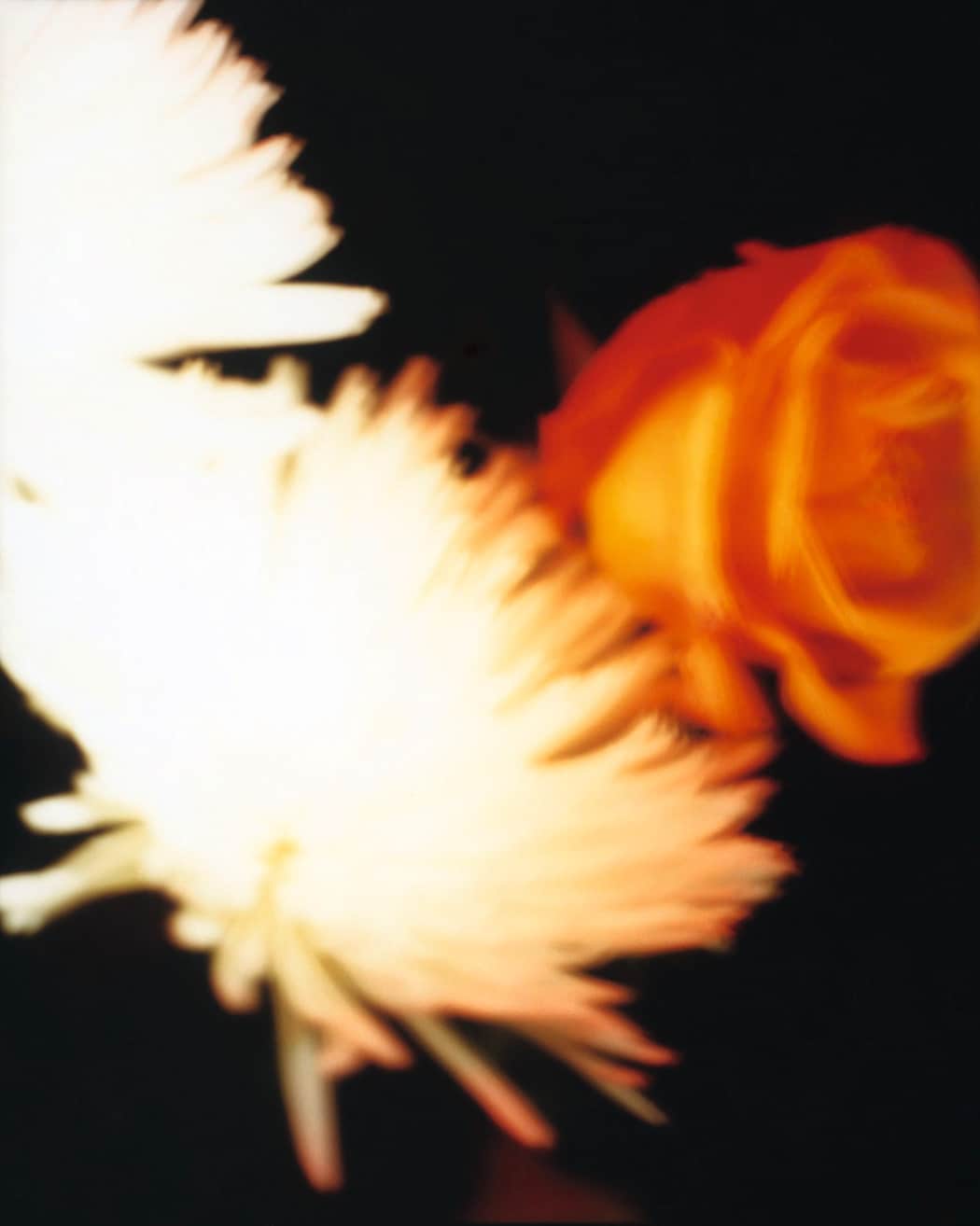 Alexander Fury: Inside the Psychedelic World of Francesco Risso’s Marni ...