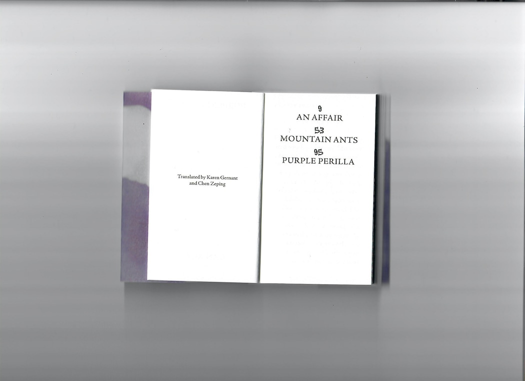 Hans Ulrich Obrist Interviews Celebrated Chinese Author Can Xue | AnOther