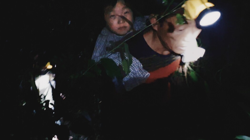 Beyond Utopia, a Harrowing New Documentary About Escaping North Korea ...