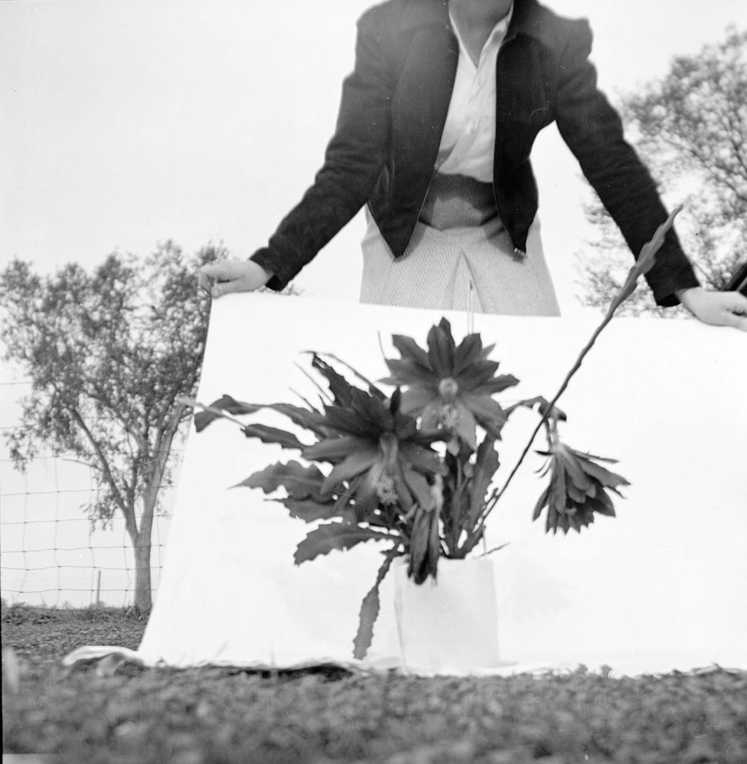 The Power of Quiet: Erinn Springer’s Study of Life in Rural Wisconsin ...