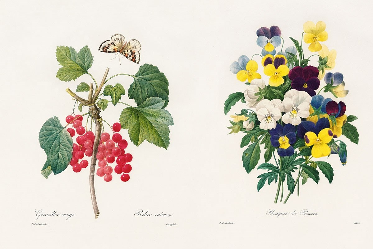 The Story of Flowers | AnOther