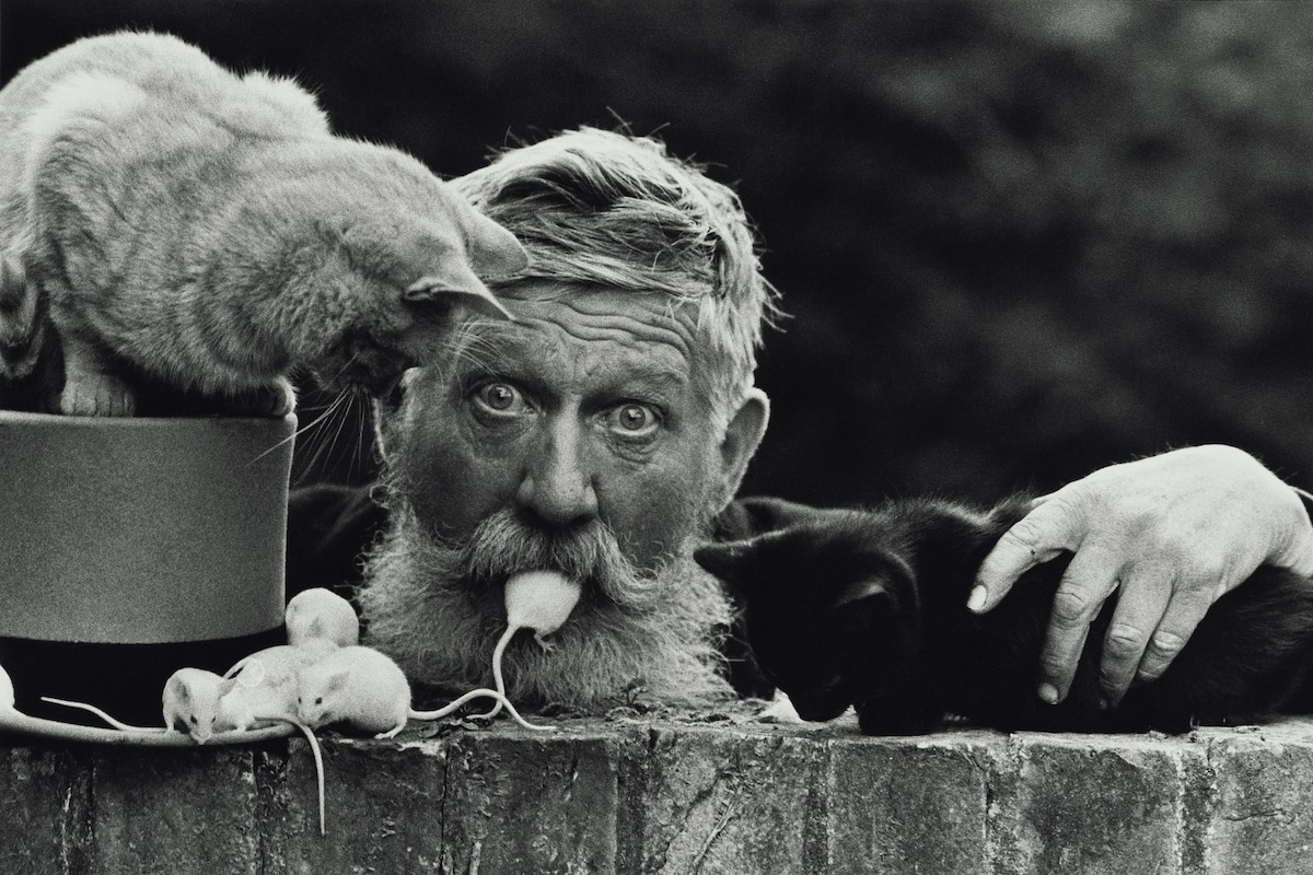 You Can Now See Don McCullin’s Most Enduring Photographs Online | AnOther
