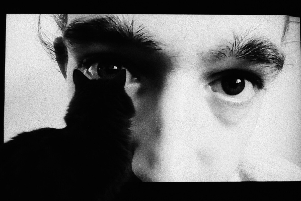 The Self-Isolation Photographic Diaries: Week Two | AnOther