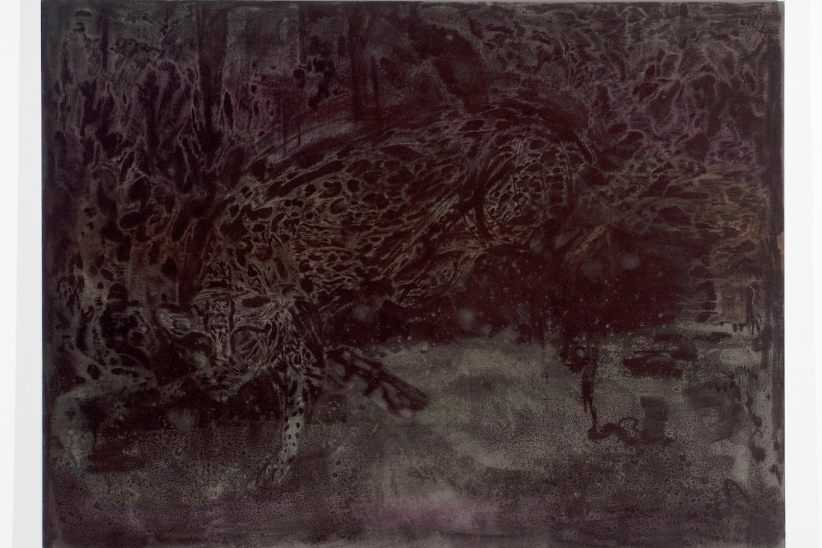 Between Dog and Wolf by Marcus Leotaud | AnOther