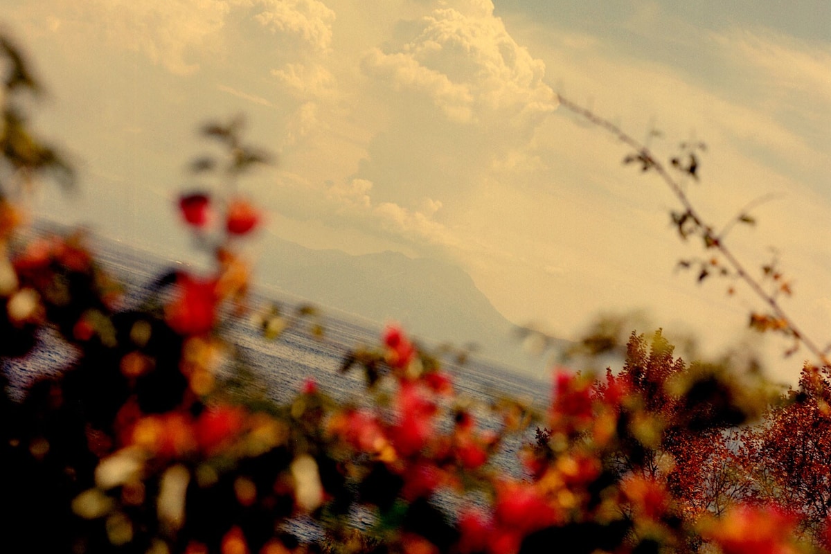 The City Of The Sun by Sam Wright | AnOther