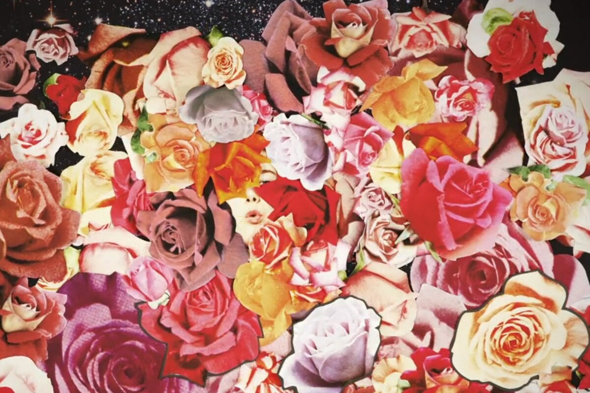 Emma Cook on Collage | AnOther