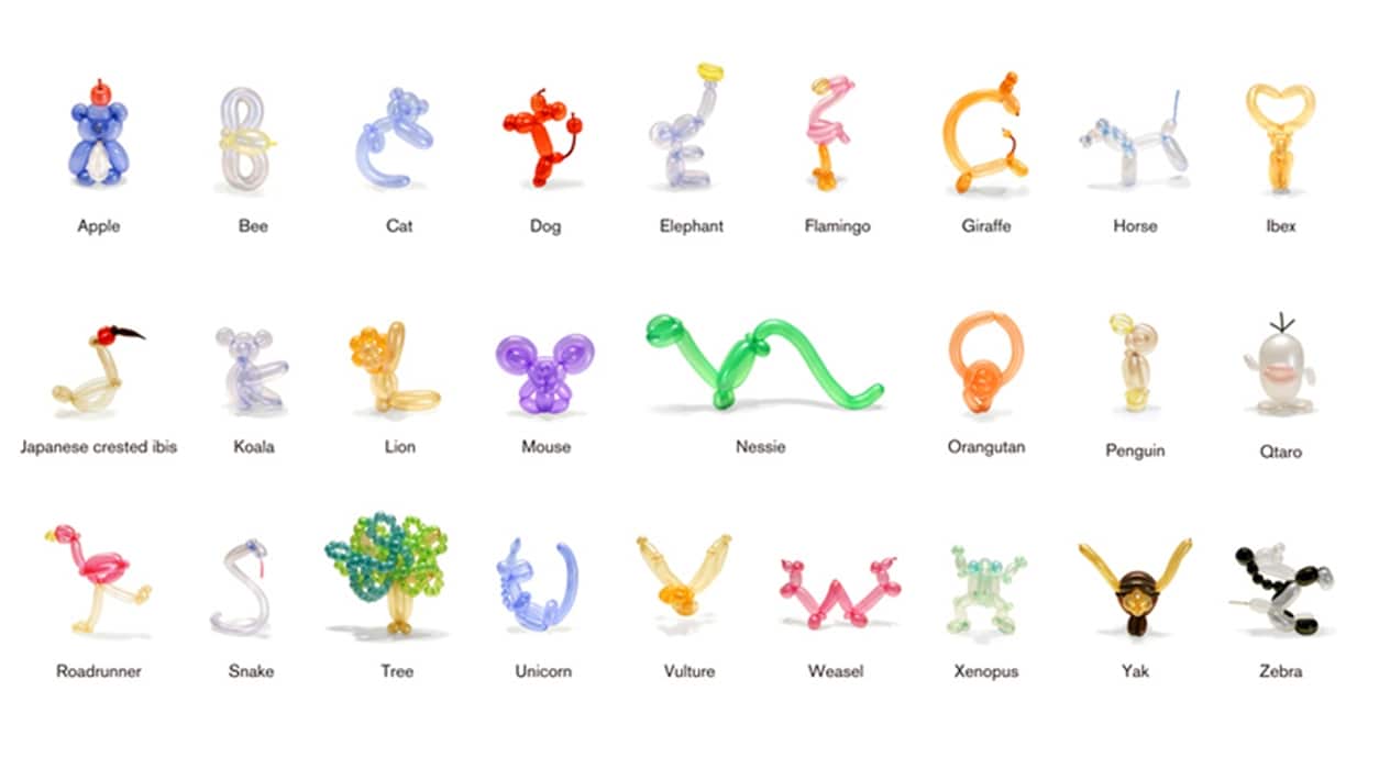 Animal Alphabets | AnOther