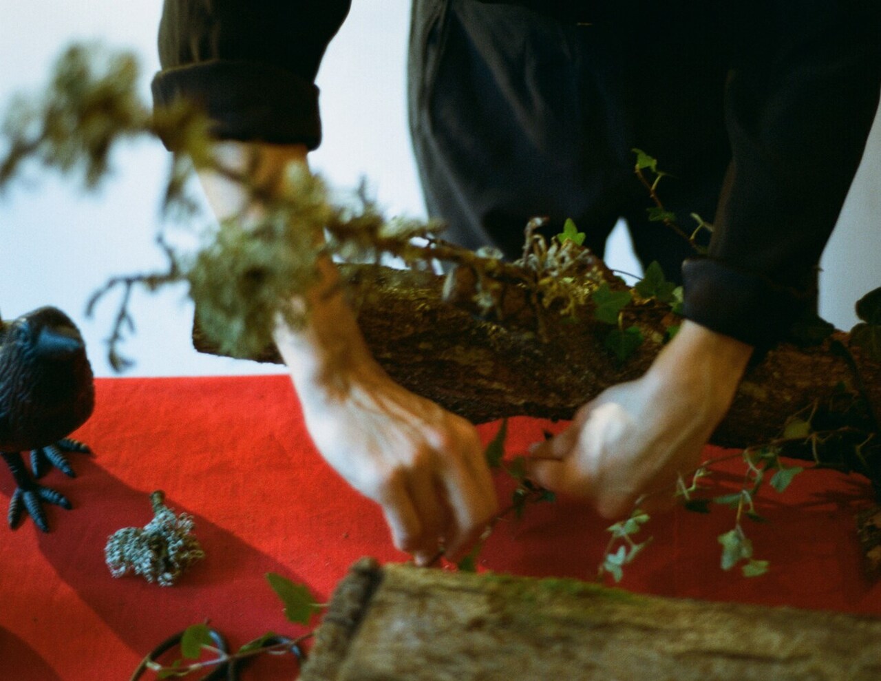 A Step-by-Step Guide to Creating a Traditional Yule Log | AnOther