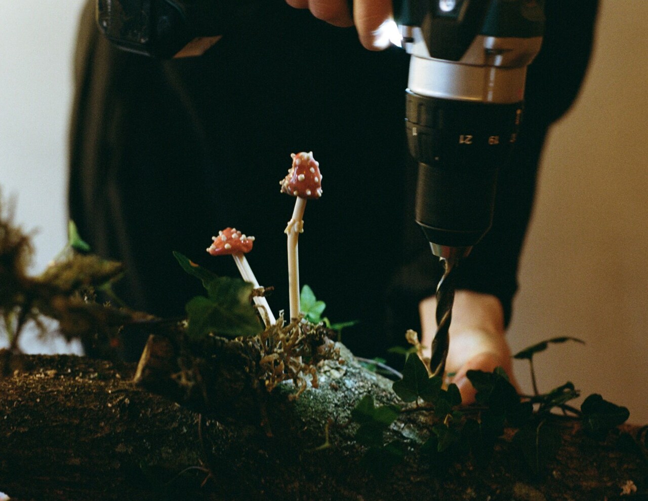 A Step-by-Step Guide to Creating a Traditional Yule Log | AnOther