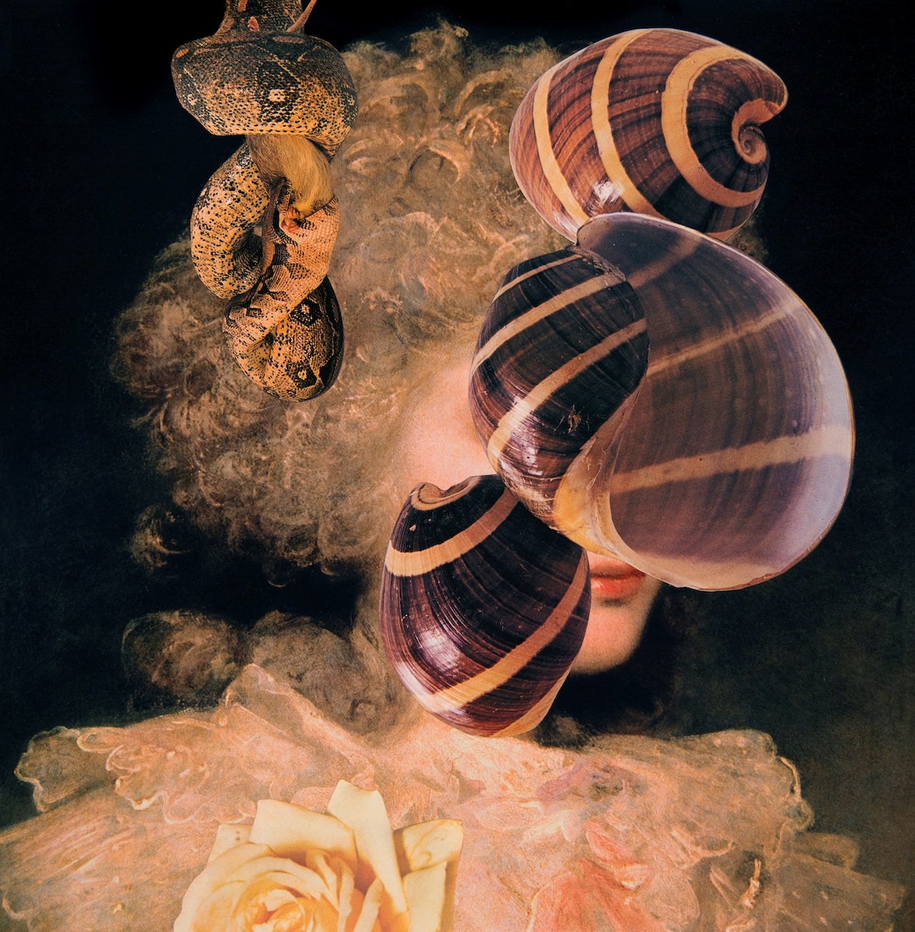 Inside the Mind of Linder, an Icon of Contemporary Collage | AnOther