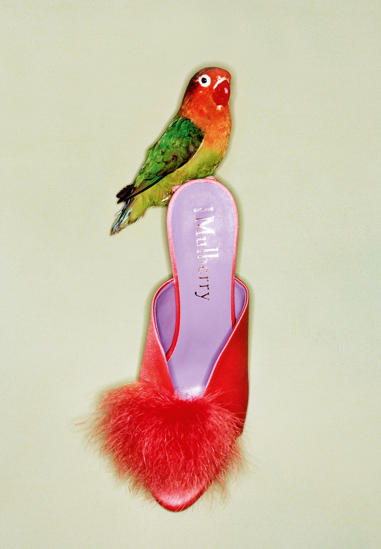 Why We Love the Unapologetic Campness of Feathers | AnOther