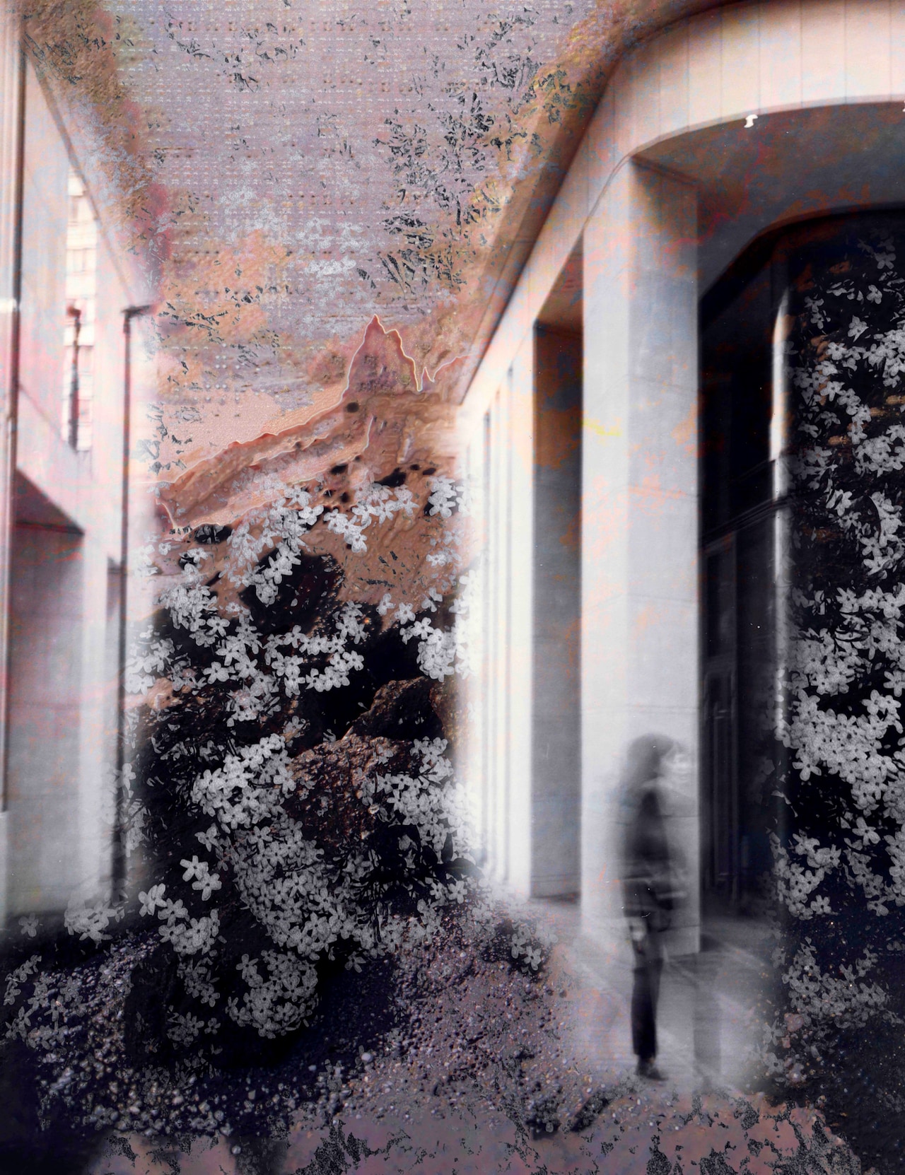 The Self-Isolation Photographic Diaries: Week Nine | AnOther