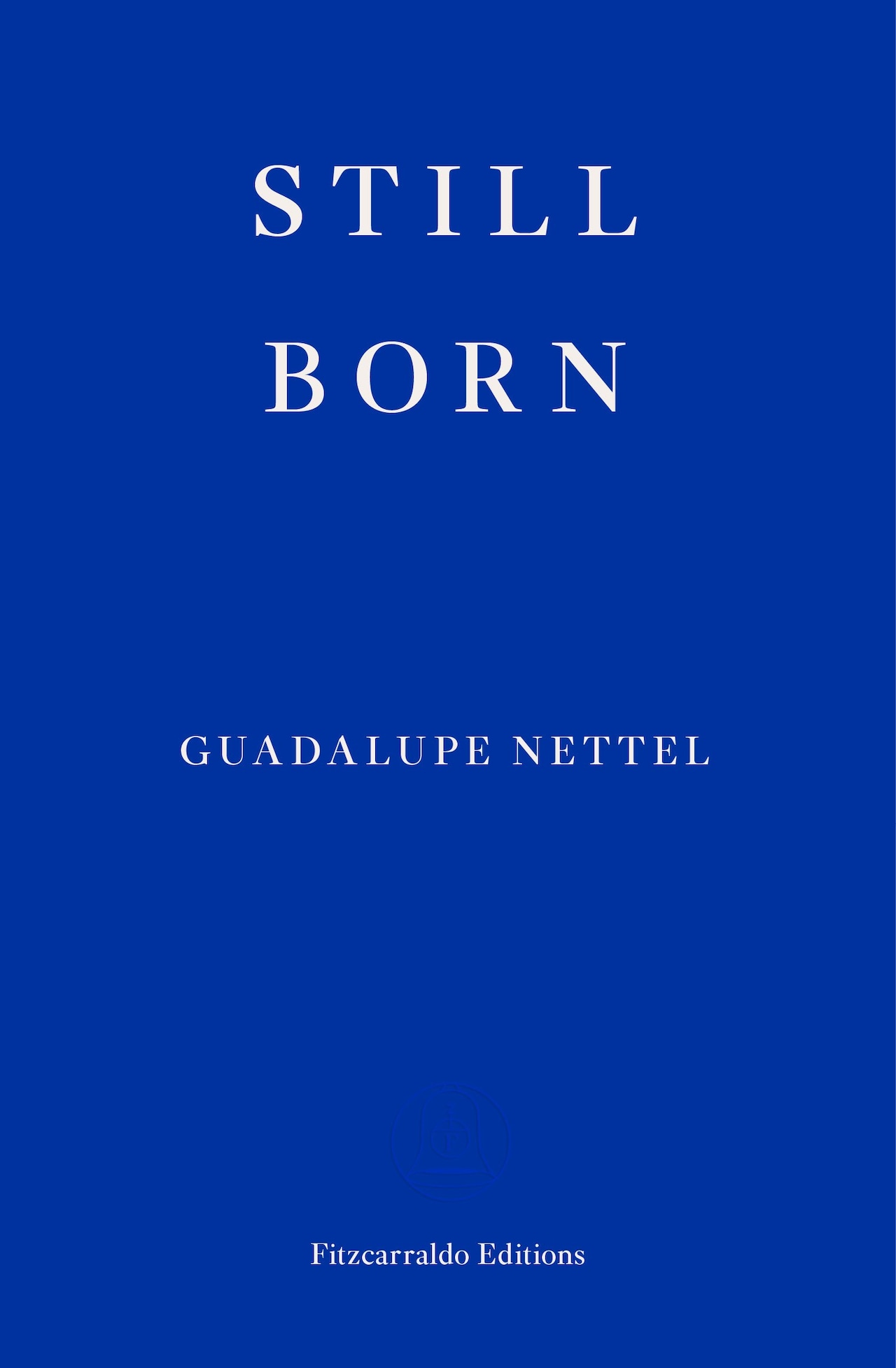 Guadalupe Nettel’s Searing New Novel Asks: What Makes a Mother? | AnOther