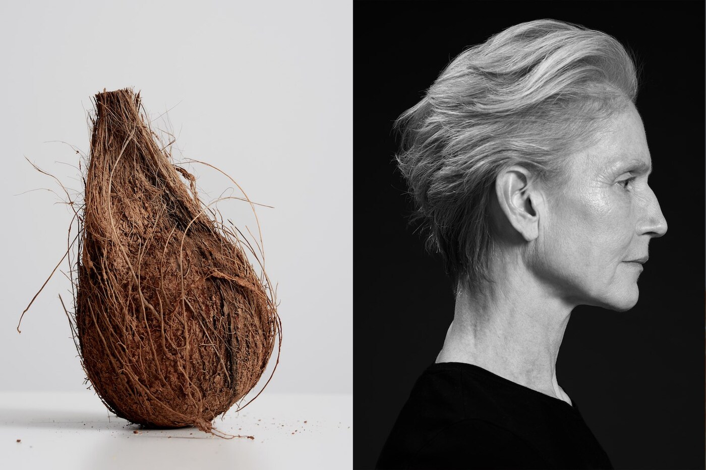 Seven Ingredients Defining the Natural Beauty Movement | AnOther