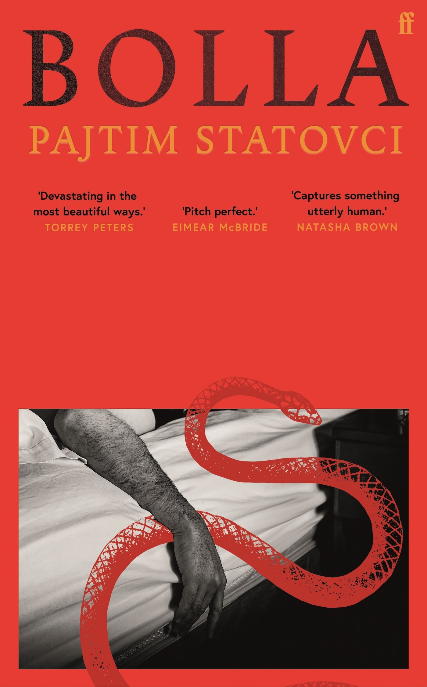Pajtim Statovci on Bolla, His Searing Novel About Love and Refugee Life ...