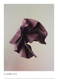 The Photographer Seeking Collaboration in Crumpled Paper | AnOther