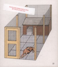 Fortune Cookie Fates Repurposed in Collage Form | AnOther