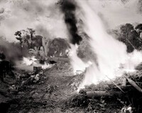 Richard Mosse’s Searing Images of the Amazon in Peril | AnOther