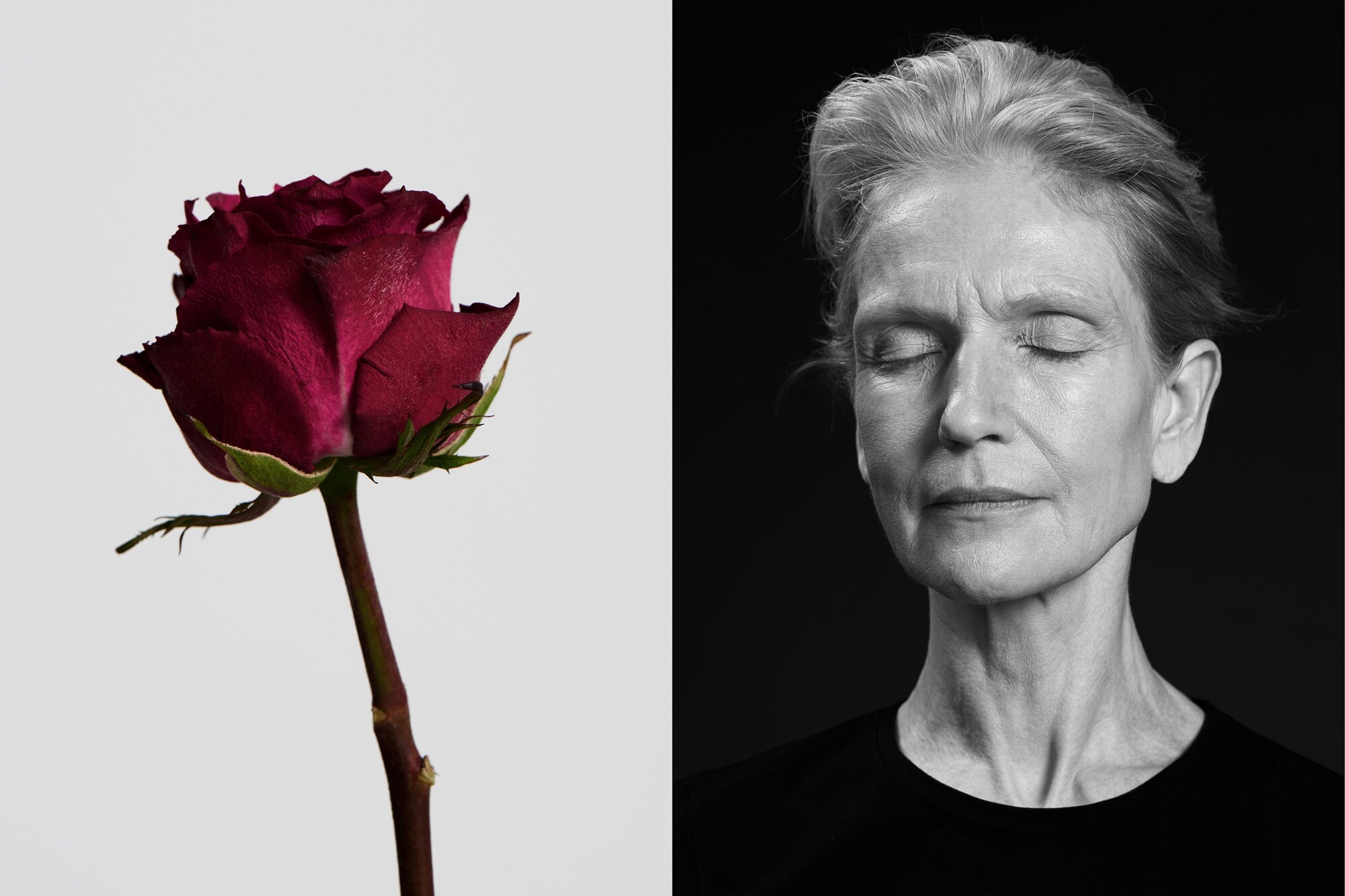 Seven Ingredients Defining the Natural Beauty Movement | AnOther