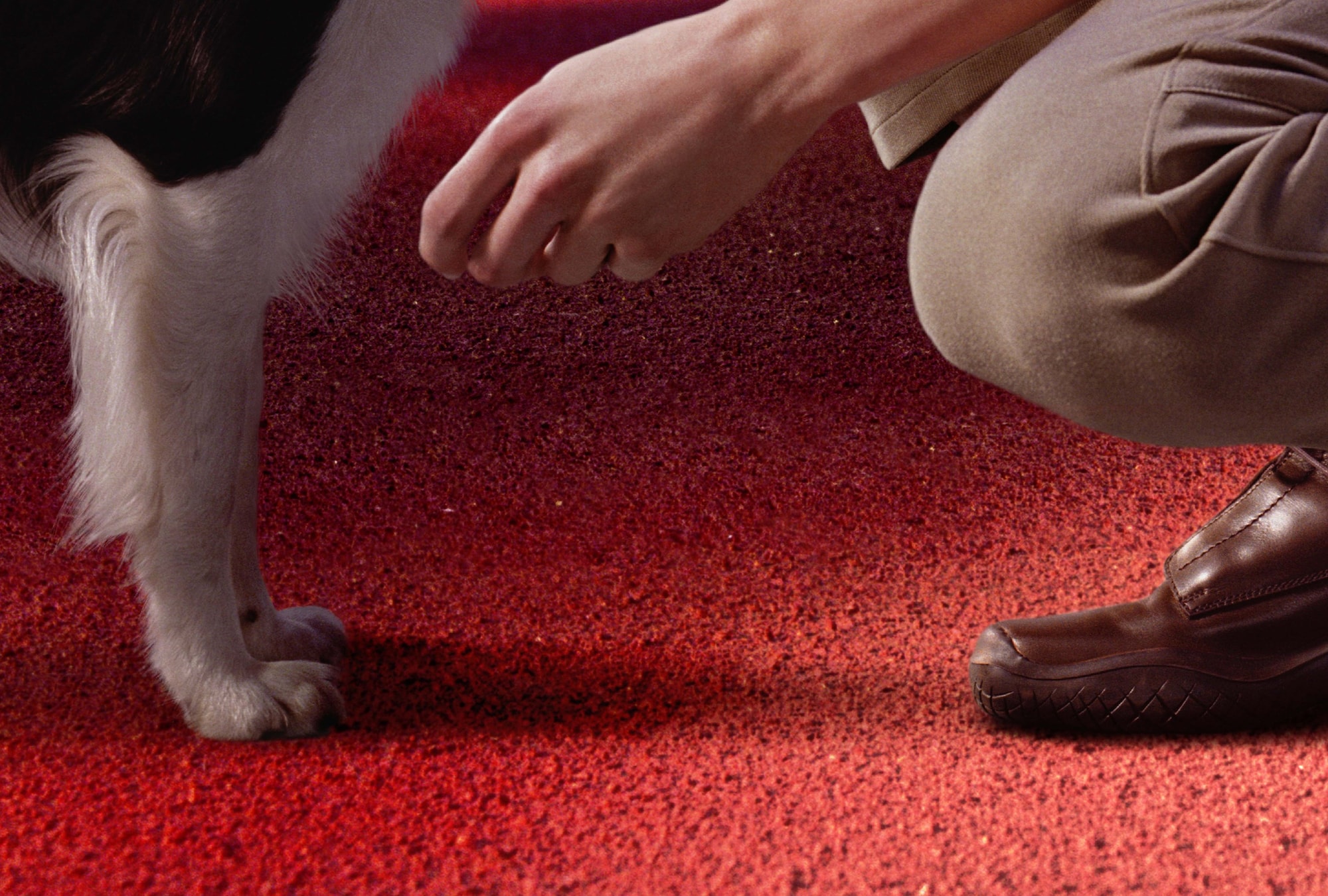 Revisiting Norbert Schoerner’s Iconic Prada Campaigns From the 90s and ...