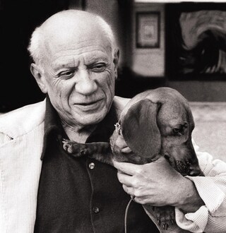 Picasso's Sausage Dog | AnOther