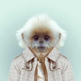 Zoo Portraits by Yago Partal | AnOther