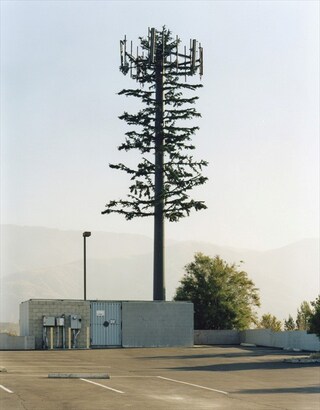 Robert Voit's New Trees | AnOther