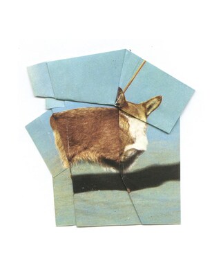 In the Fold: How to Make Dogs Levitate | AnOther