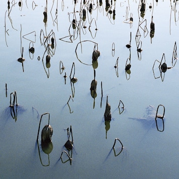 Chasing the Light – A Journey through Nature | AnOther