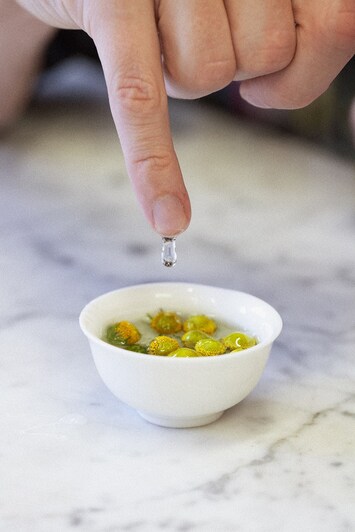 The AnOther Guide to Edible Flowers | AnOther