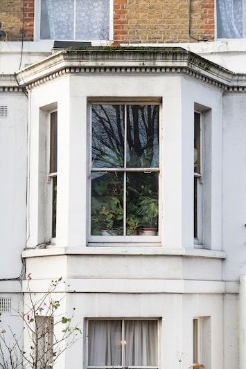 Photographing the Well-Loved Plants of London Shop Windows | AnOther