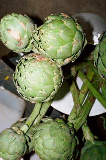 Inside Los Angeles Flower Market With the Posternak Twins | AnOther