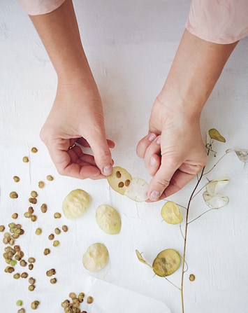 How to Make the Most of Spring Flowers at Home | AnOther