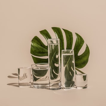 This New York-Based Artist is Finding New Depth in a Glass of Water ...