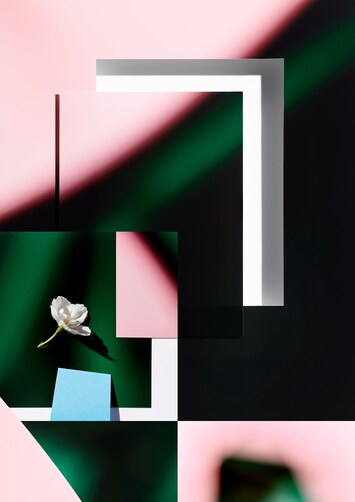 The Artistic Duo Reimagining Blossom in a Playful Photo Series | AnOther