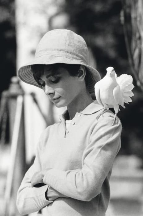 International Day of Peace | AnOther