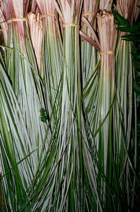 Inside Los Angeles Flower Market With the Posternak Twins | AnOther