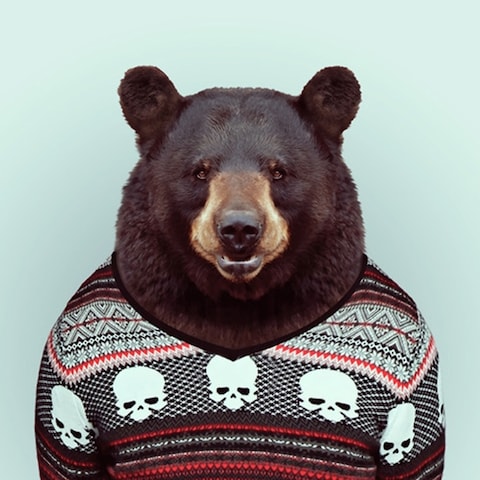 Zoo Portraits by Yago Partal | AnOther