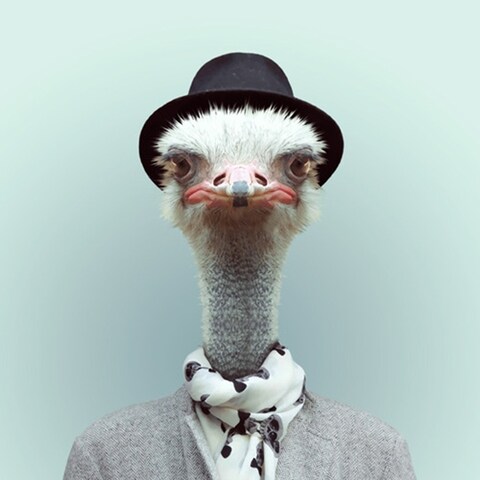 Zoo Portraits by Yago Partal | AnOther