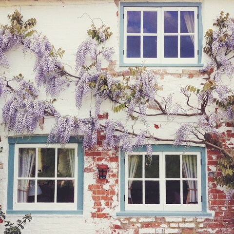 10 Amazing Windows | AnOther