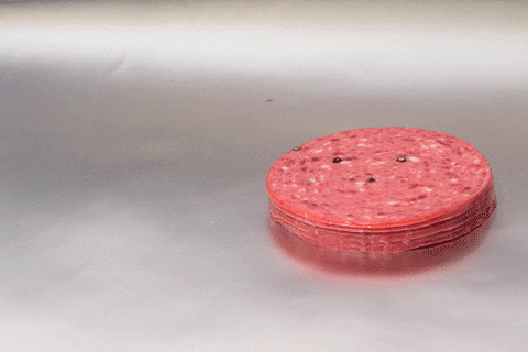 Do Play With Your Food | AnOther