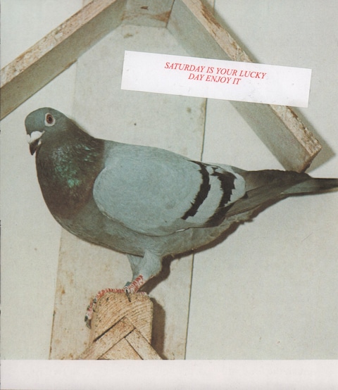 Fortune Cookie Fates Repurposed in Collage Form | AnOther