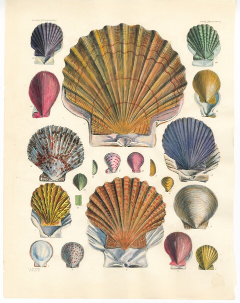 John Derian on the Art of Collecting | AnOther